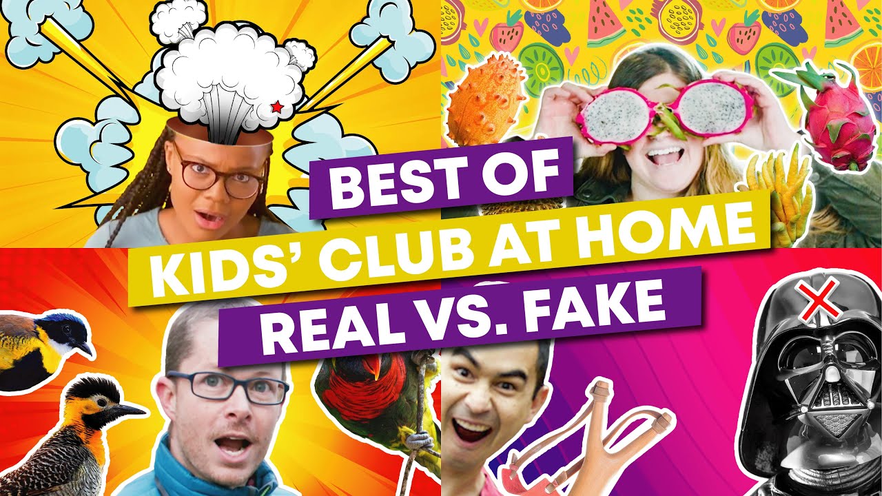 Real vs. Fake | BEST of Kids’ Club at Home (Older) | Crossroads Kids Club